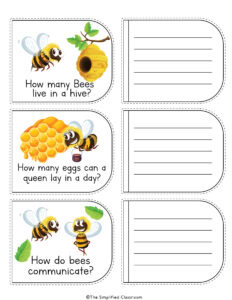 All About Bees Lifecycle Lapbook Science Research Project - The ...