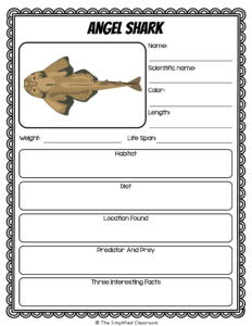 All About Sharks Research Study Writing Project with Multiple ...