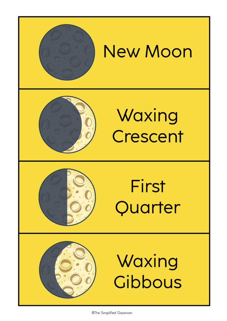Moon Phases Foldouts - The Simplified Classroom
