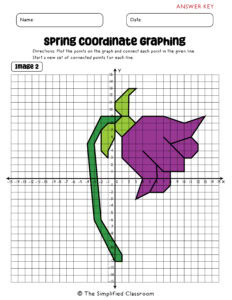 Spring Coordinate Graphing Math Worksheets - The Simplified Classroom